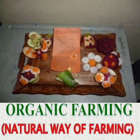 Organic Farming- Student Farmers at Gateway International School | PPTX