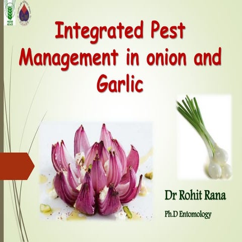 Integrated pest management in onion and garlic | PPTX