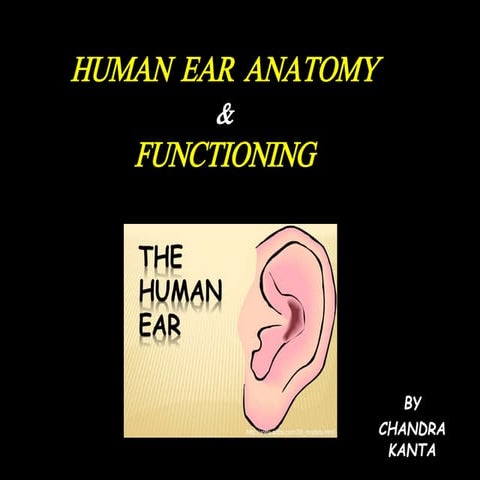 The human ear | PPTX