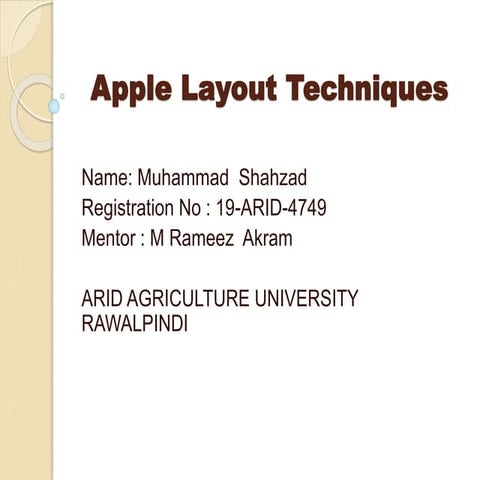 apple layout techniqes | PPTX