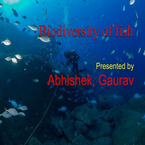 global fish biodiversity. | PPTX