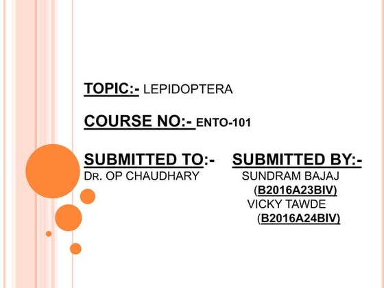 Siphunculata classification | PDF