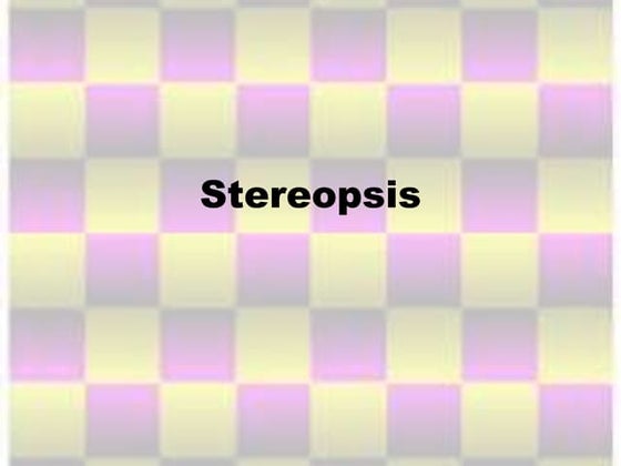 Stereopsis | PPTX | 3-D Graphics | Computer Software and Applications