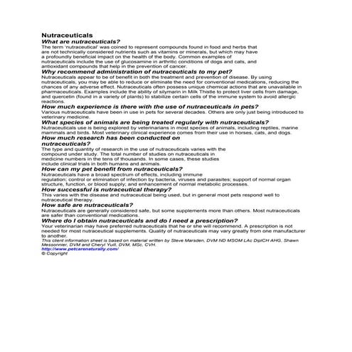 New microsoft office word document | PDF