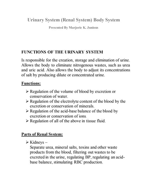 Urinary System Notes | PPT