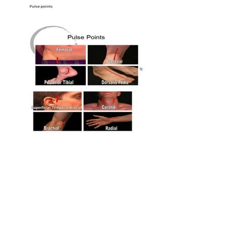 New microsoft office word document | PDF