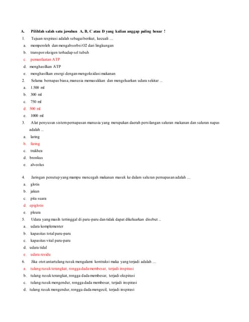 LATIHAN SOAL SISTEM PERNAPASAN untuk kelas 8 | DOCX