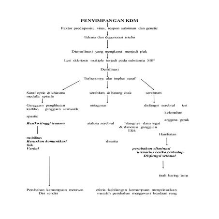 New microsoft office word document (2) (1) | PDF
