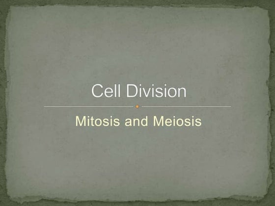 Mitosis and meiosis | PPT