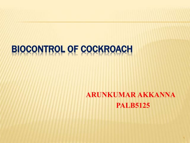 Cockroach | PPTX