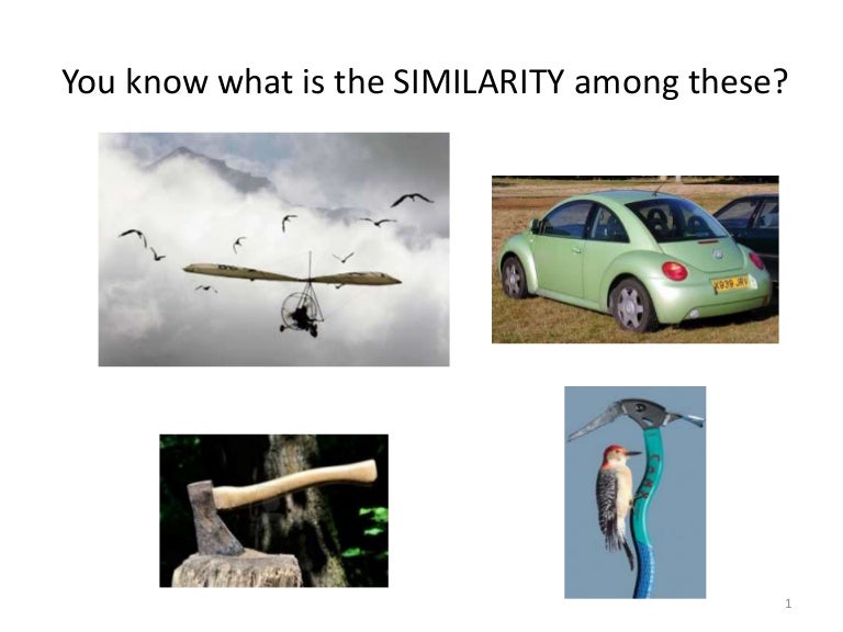 Basics about Bionics