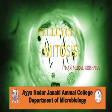 Cell Cycle and Mitosis PPT for Grade 11 2025 | PPTX