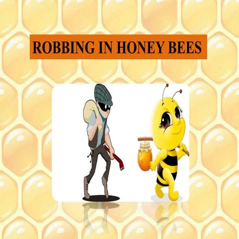 Robbing in honey bees | PPTX