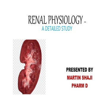 a study on renal physiology | PPTX
