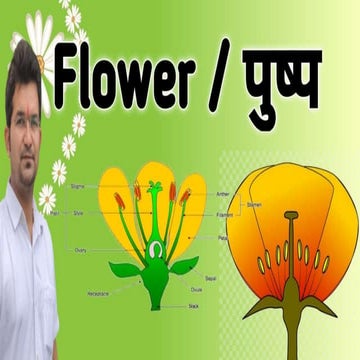 Flower \ morphology of plant \flower structure and functions | PPTX