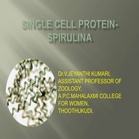 Single Cell protein | PPTX