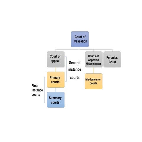 Constitutional court | PPTX
