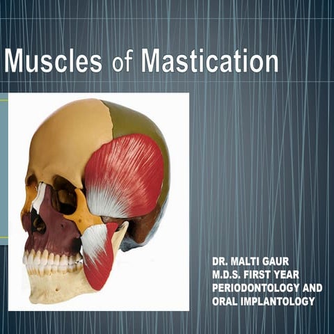 Mastication. Chewing Cycles & Oral Reflexes - Oral Physiology | PPTX