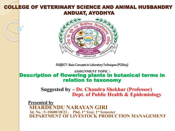 Taxonomic hierarchy | PPTX | Biological Sciences | Science