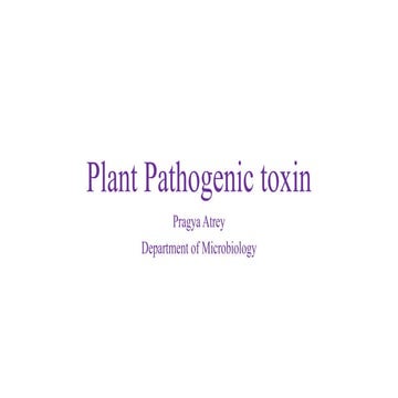 Plant Pathogenic Toxin .They can directly damage plant cells and ...