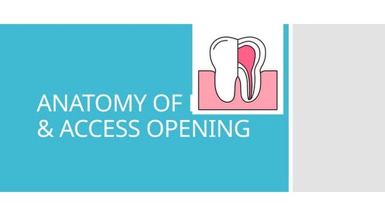 Access opening in anterior teeth | PPT