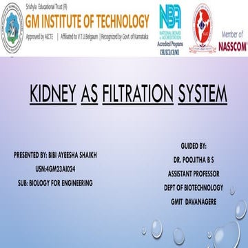 Kidney as a Filtration system, Human Physiology | PPTX
