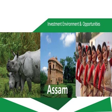 Investment Environment & Opportunities in the State of Assam | PPTX