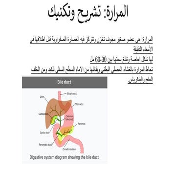 Gallbladder anatomy and the shape by Echo | PDF