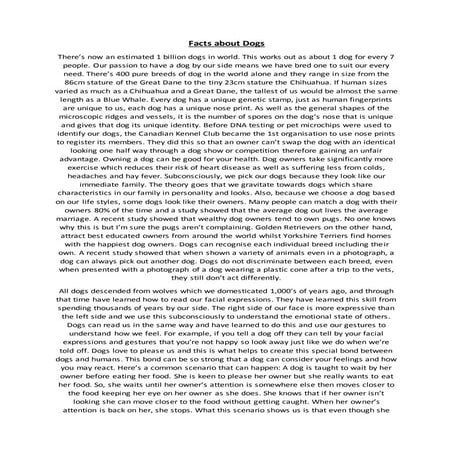 Presentation on Dogs | PPTX
