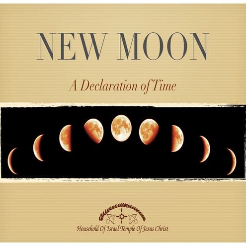 New Moon | PDF
