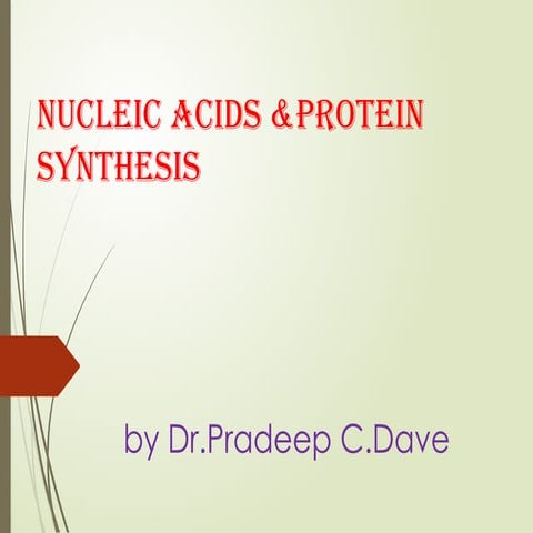 Nucleic Acids & Protein biochemistry ppt | PPTX