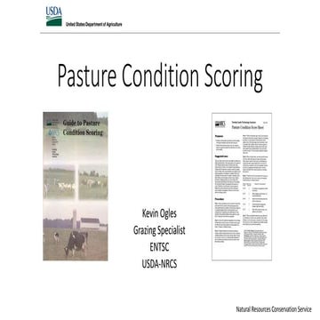 New pasture condition scoring tool | PPT