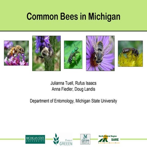 Bees pollinators michigan honey presenation.ppt