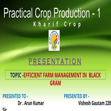 EFFICIENT FARM MANAGEMENT IN BLACK GRAM | PPTX