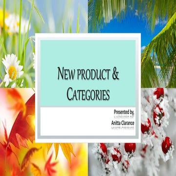 New product & categories Anitta clarance | PPTX