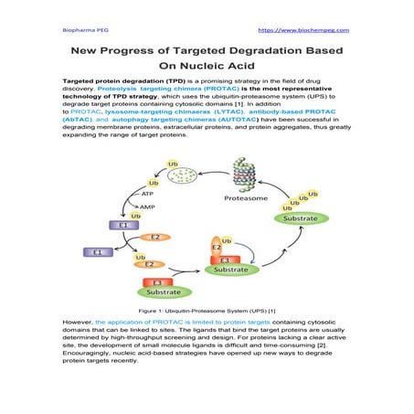 New Progress of Targeted Degradation Based On Nucleic Acid.pdf | Genetics | Science