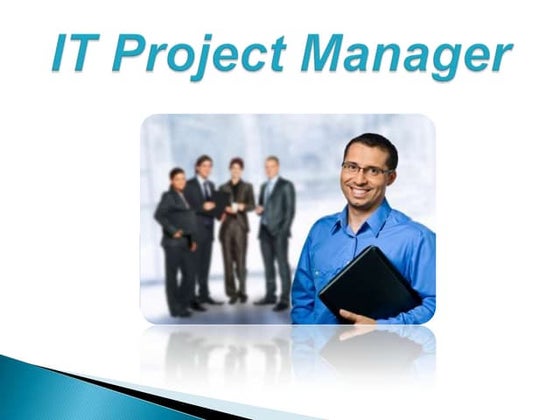 Project Manager - Expert | PDF