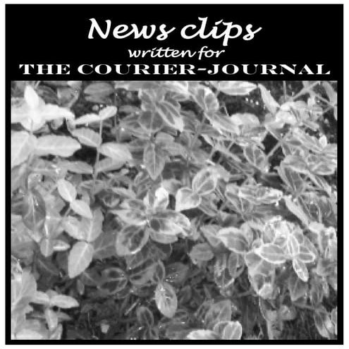 News clips | PDF