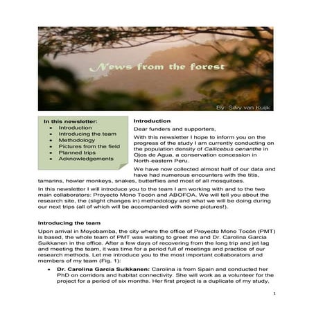 News from the forest 1 | PDF