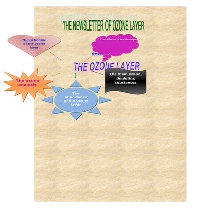 Newsletter the ozone | DOC