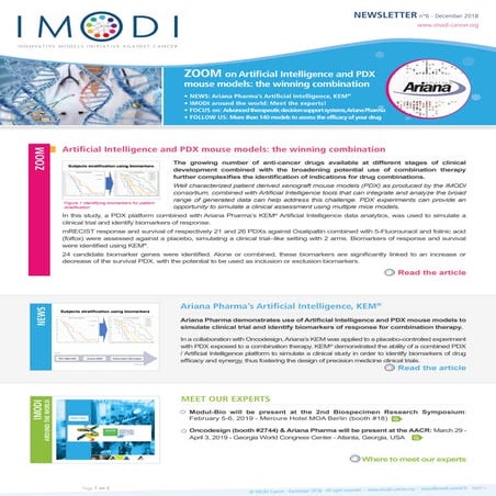 Newsletter IMODI #6 - December 2018 | PDF