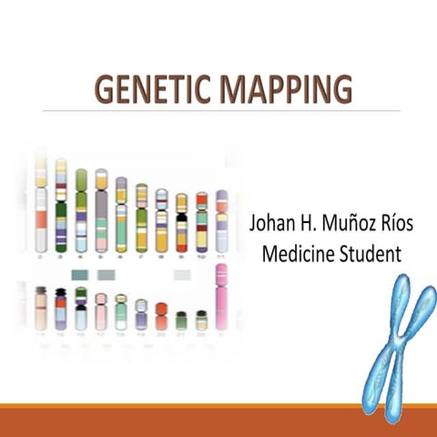 Genetic mapping | PPT