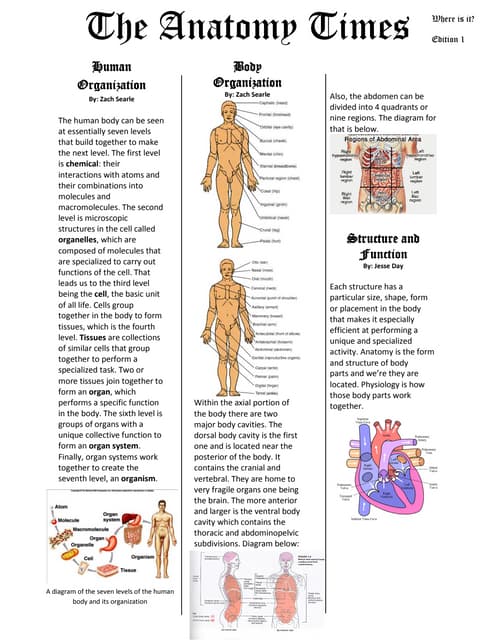 Newspaper anatomy revised | PDF | Biological Sciences | Science