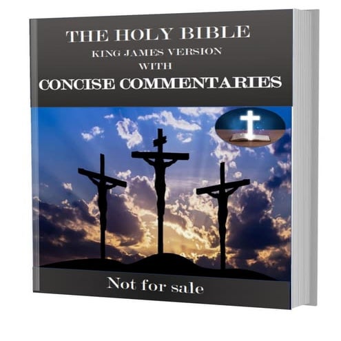 New Testament with Concise Commentaries KJV.pdf