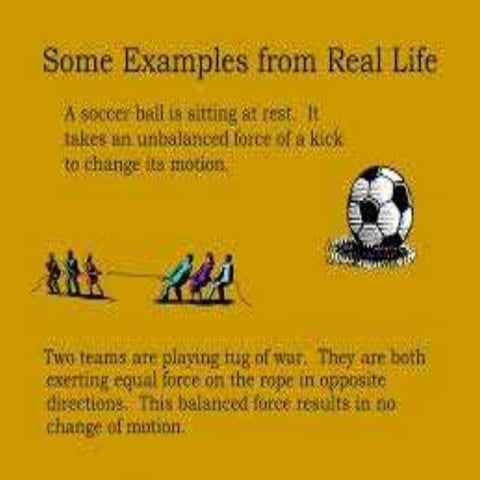 Newton law ppt | PPTX | Physics | Science