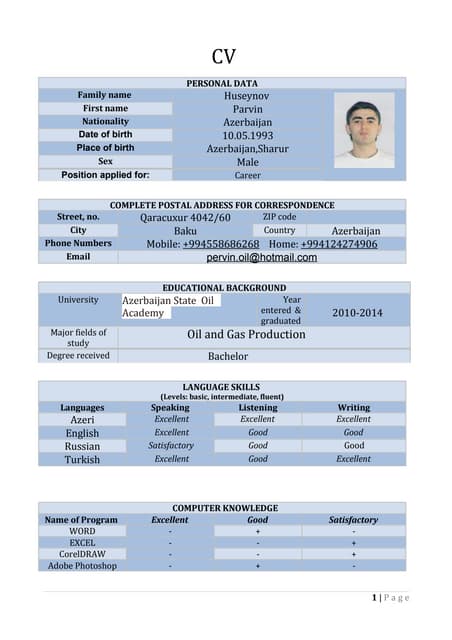 Mehdi Laouiti Cv updated 1Pdf | PDF