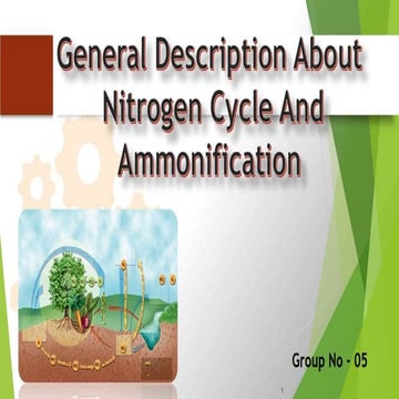 Nitrogen cycle and Ammonification | PPTX