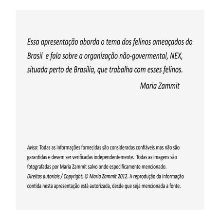 NEX - No Extinction! ONG pelos felinos ameaçados do Brasil (viz. onça ...