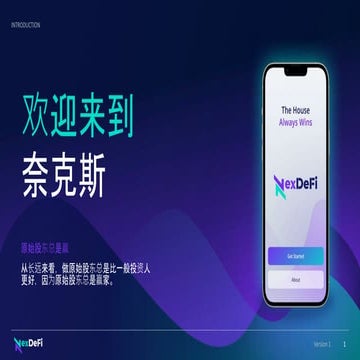 NexDefi 1.0版.pptx