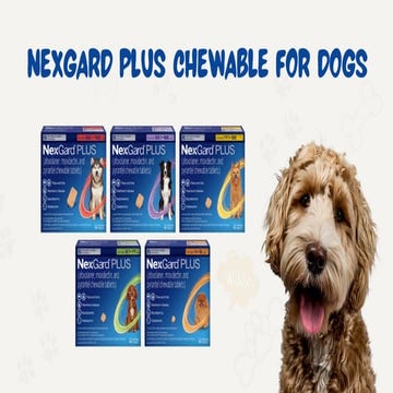 Buy Nexgard Plus for Dogs Online | Trusted Flea and Tick Treatment | PPT